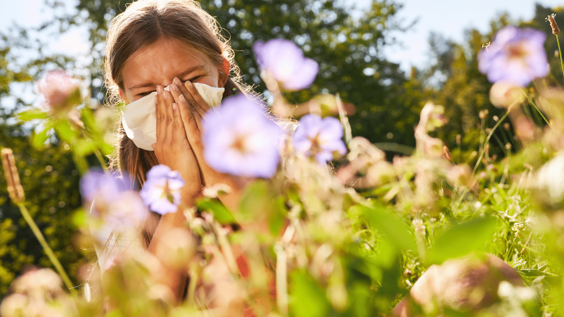 Tipps aus der Apotheke: Was tun gegen Heuschnupfen? - Gebärdenwelt.TV
